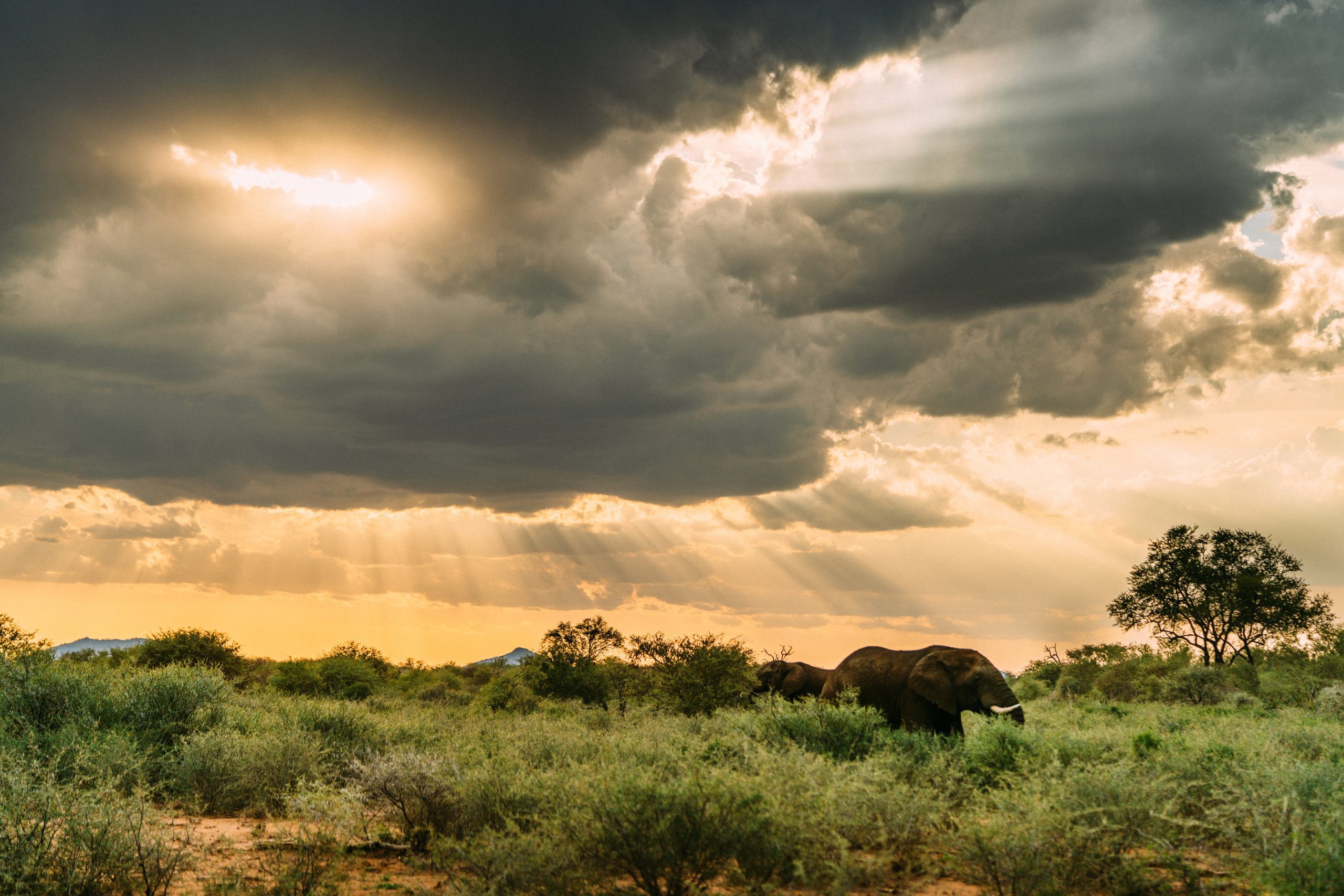South Africa Tourism - FINN Partners