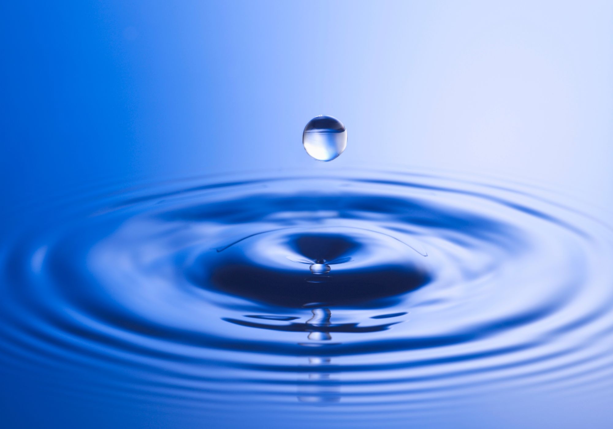 Picking Fights You Can Win - FINN Partners