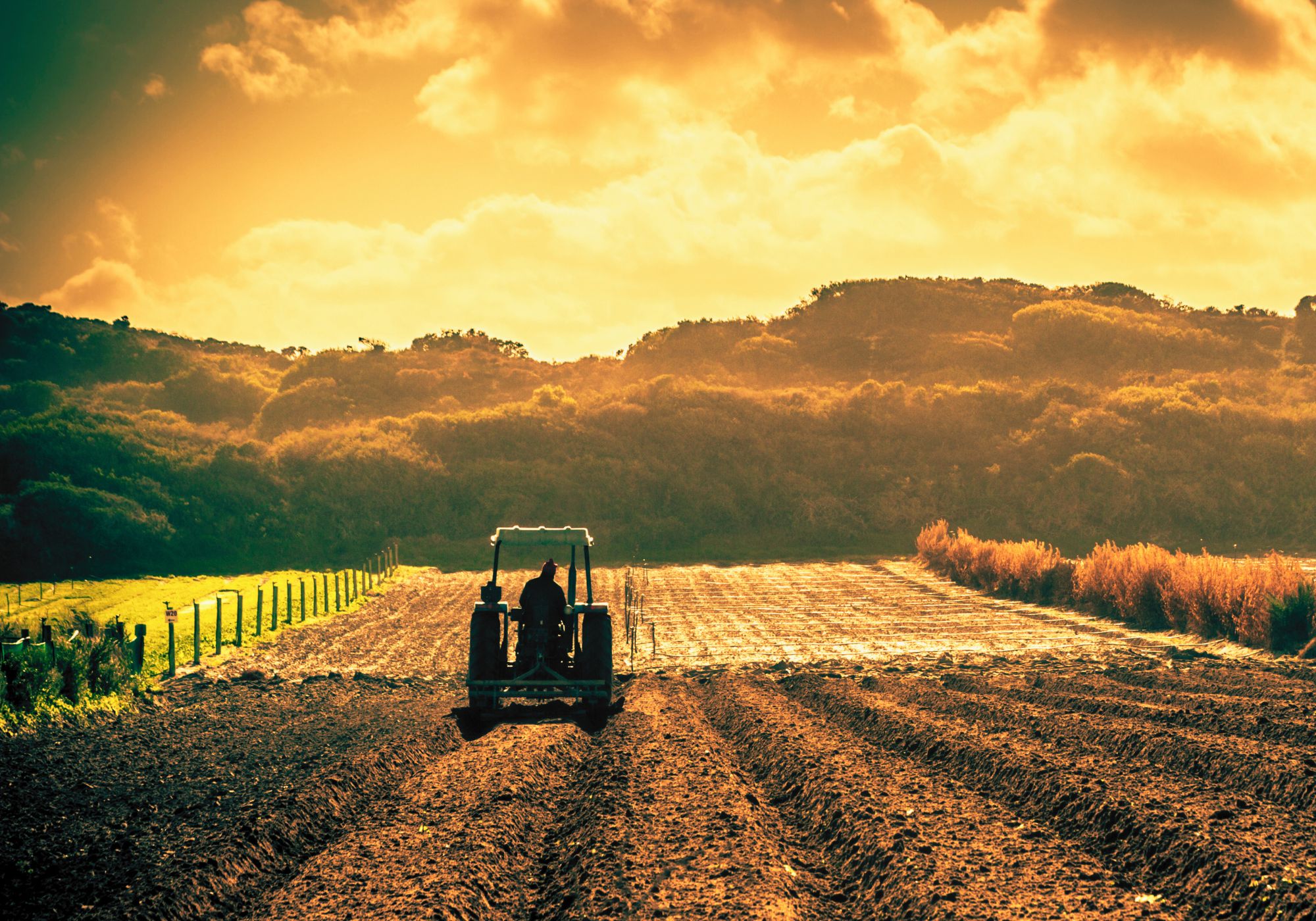 Creating Resilient, Global Food Systems - FINN Partners