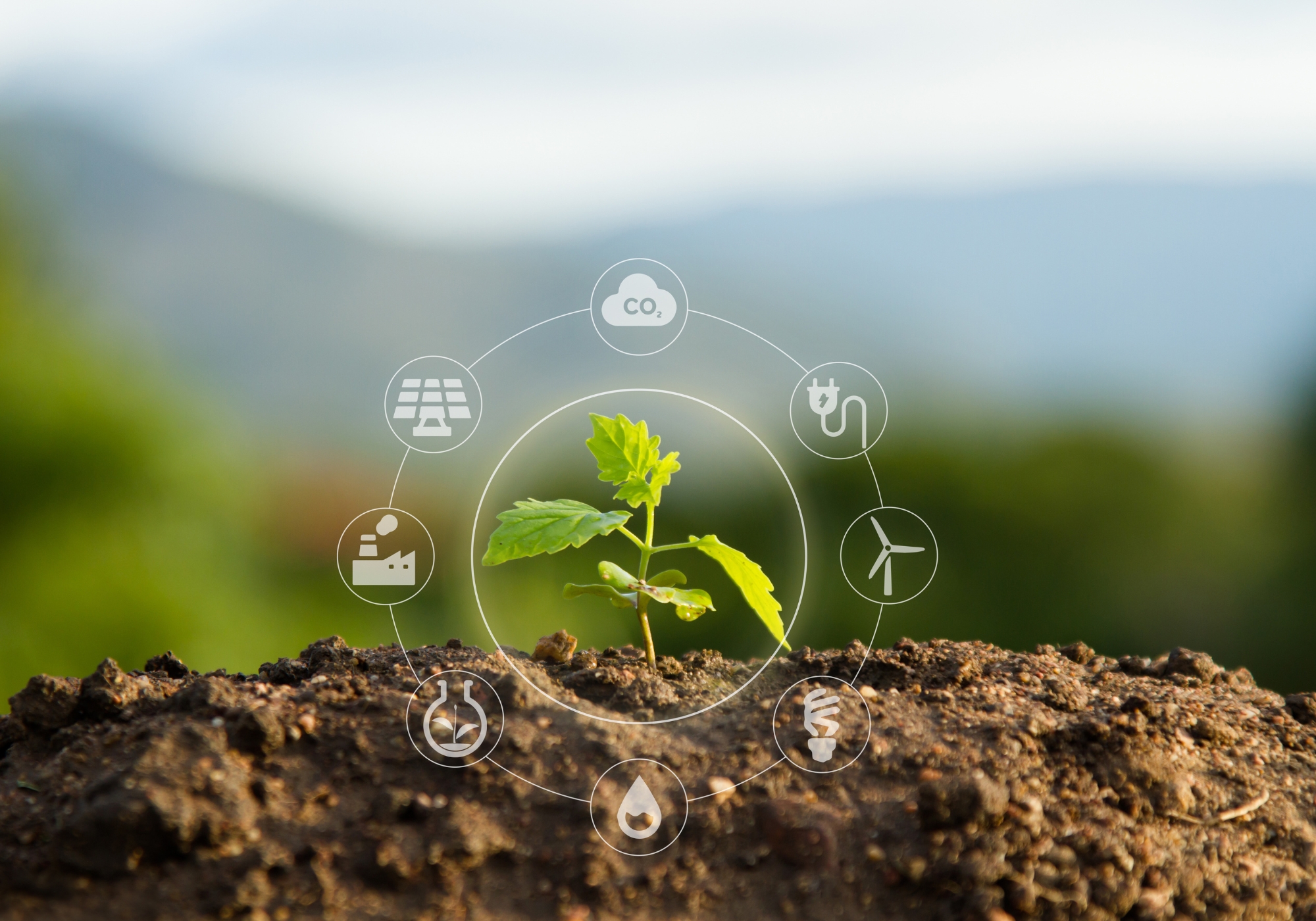 Climate Change, COP28 and the Ingredients for Accelerated Innovation in ...