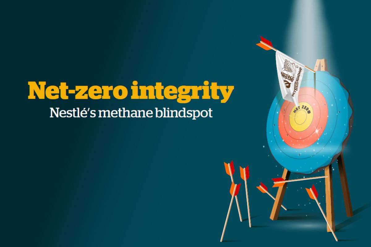 Creating a More Sustainable Future - FINN Partners